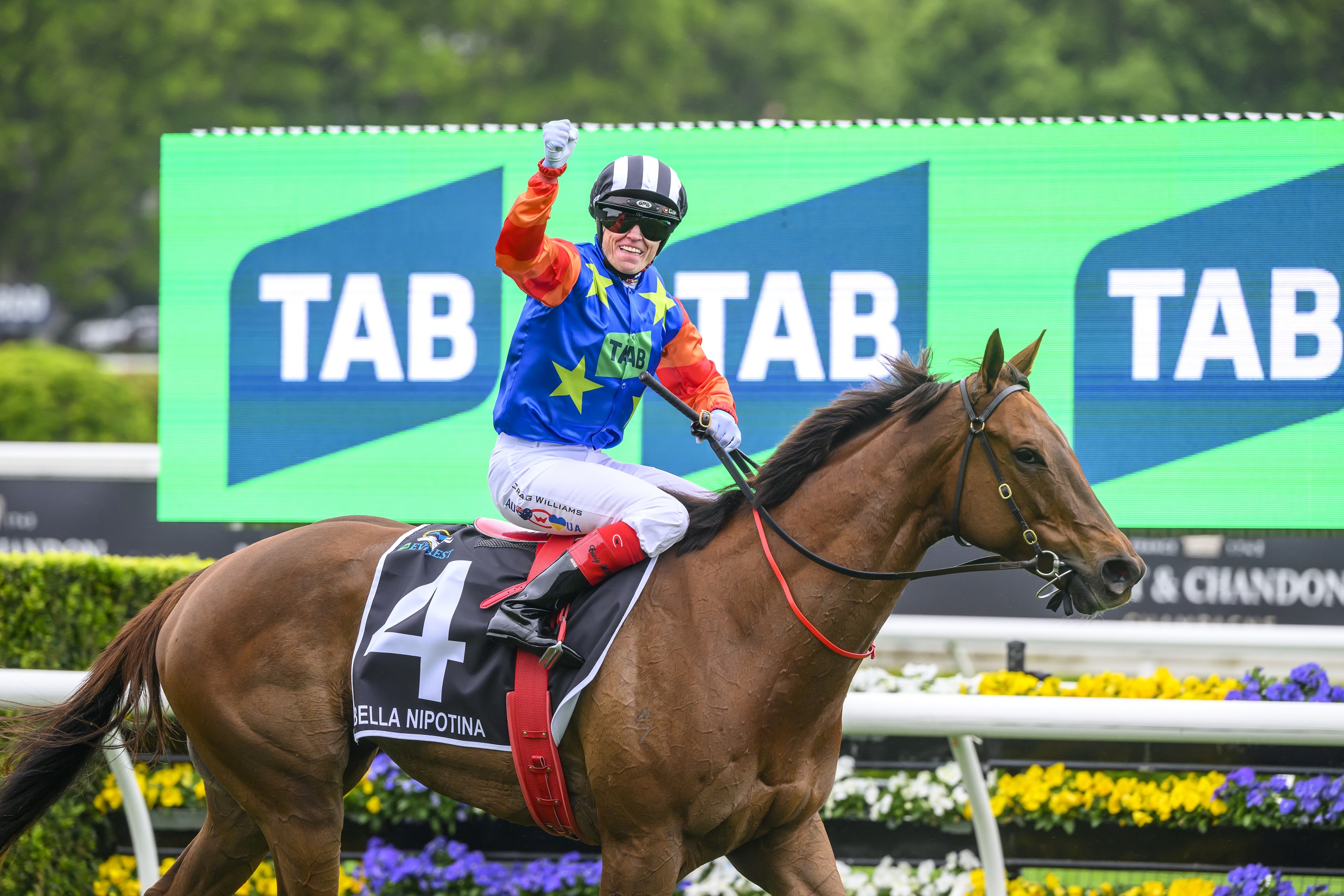 Iron Lady Bella Delivers Maher A Maiden TAB Everest - Racing New South ... Iron Lady Bella Delivers Maher A Maiden TAB Everest - Racing New South ...